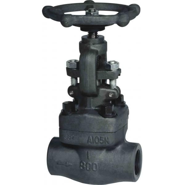 Forged Steel Threaded Globe Valve, OS&Y - Onero Valve